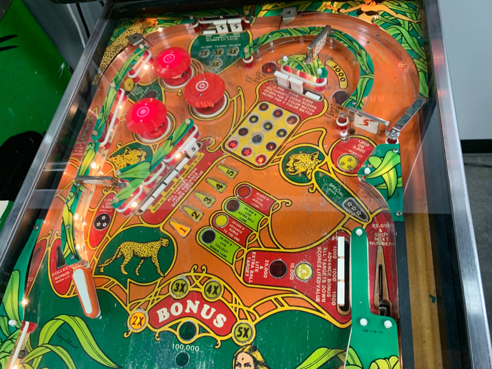 CHEETAH PINBALL MACHINE PROTOTYPE CAB? STERN CLASSIC 1980