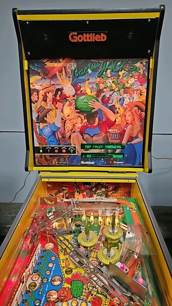 CACTUS JACK'S PINBALL MACHINE GOTTLIEB 1991