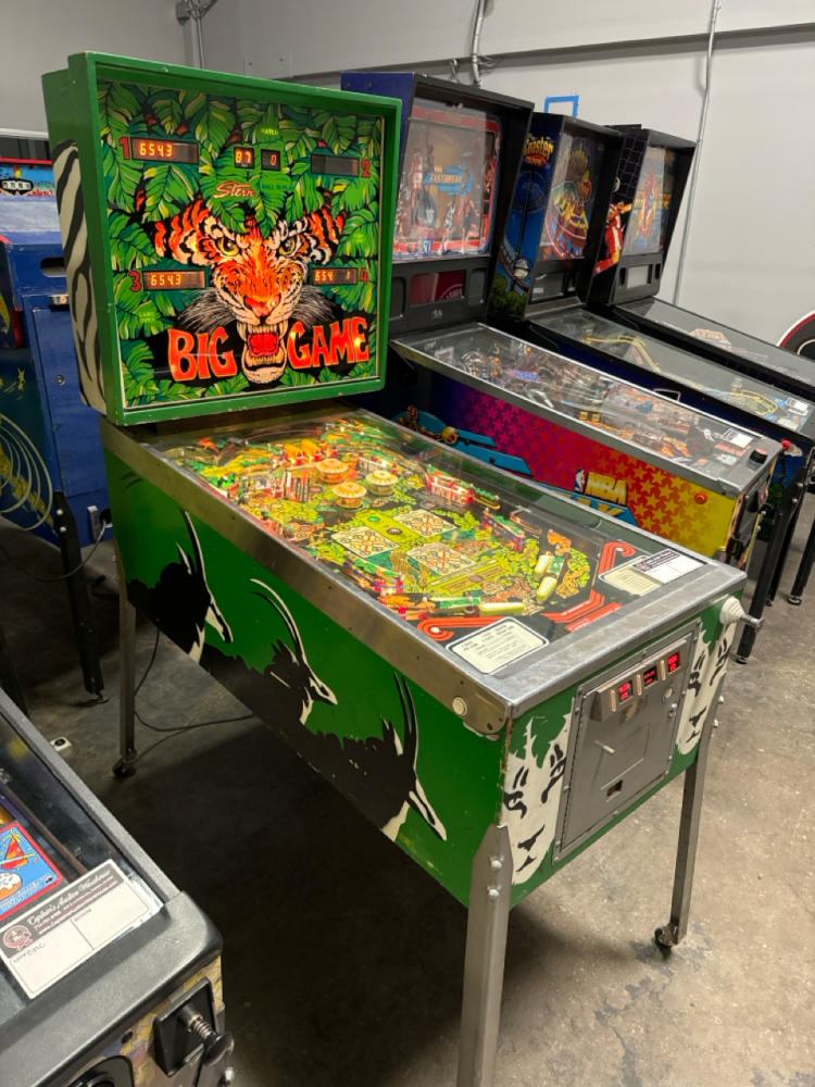 BIG GAME by STERN CLASSIC PINBALL MACHINE
